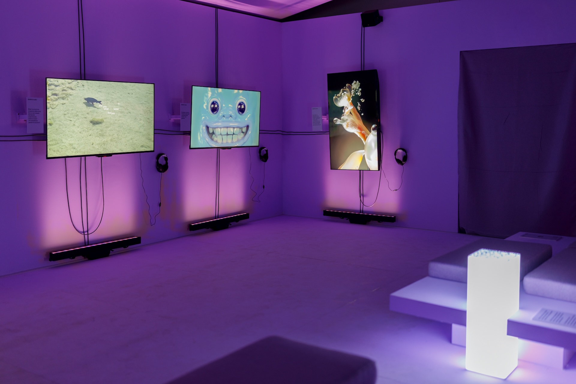 blazar 2025 собрала 30 тысяч зрителей и принесла 80 млн рублей продаж